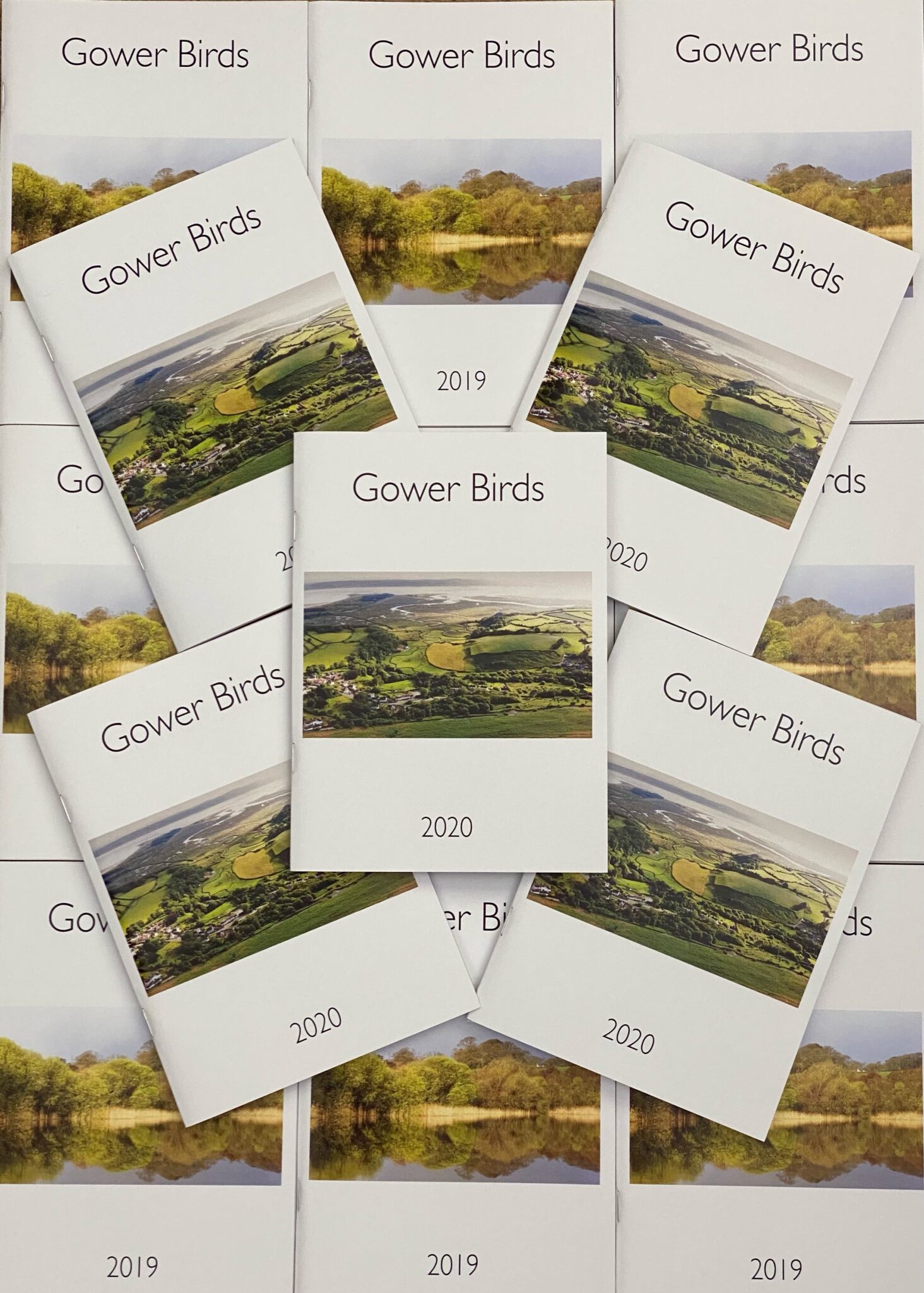 Membership – Gower Ornithological Society