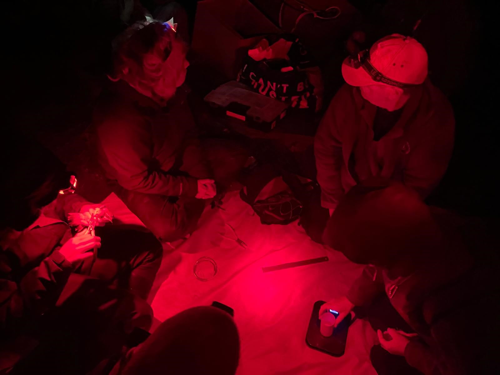 The Welsh Ringing Course 2024 – Gower Ornithological Society